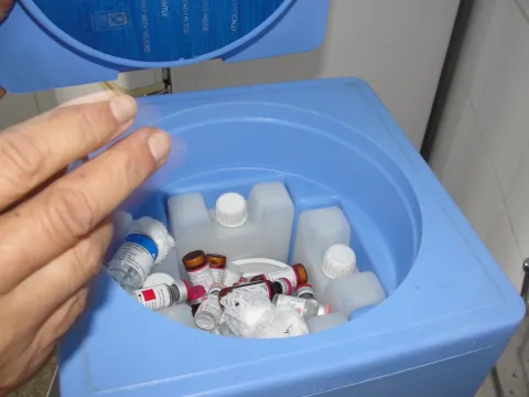 Vacunas para crecer saludables | UNICEF