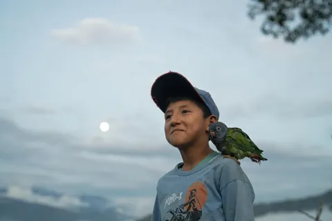 Publicaciones | UNICEF