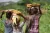 Despite progress, child labour still affects 138 million children ...