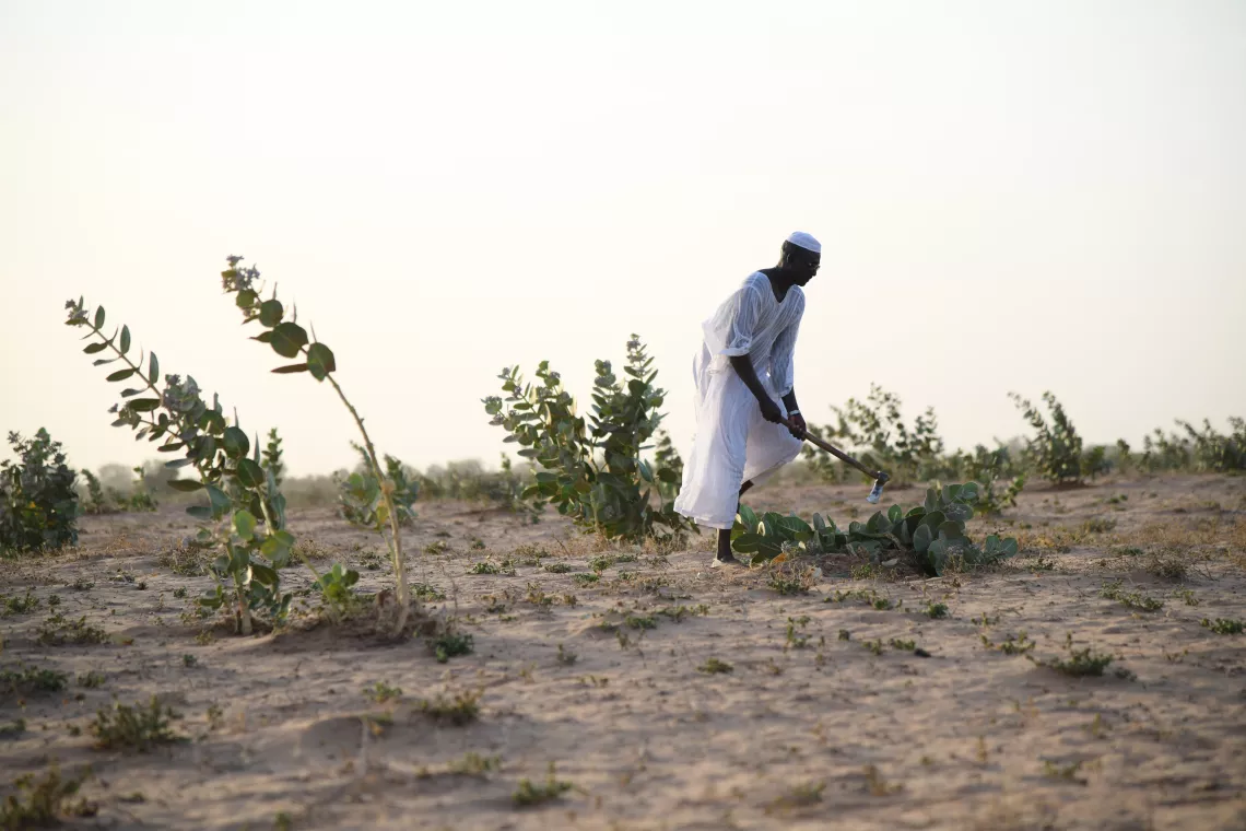 Peanut farmers in East Darfur join the fight against malnutrition in ...